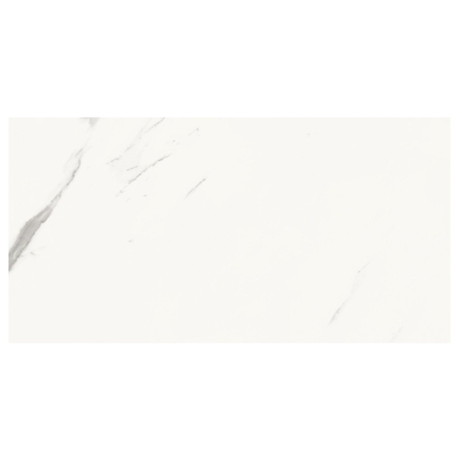 Buy 66.5cm x 34cm Absolute White 34x66.5 Tile Online Today