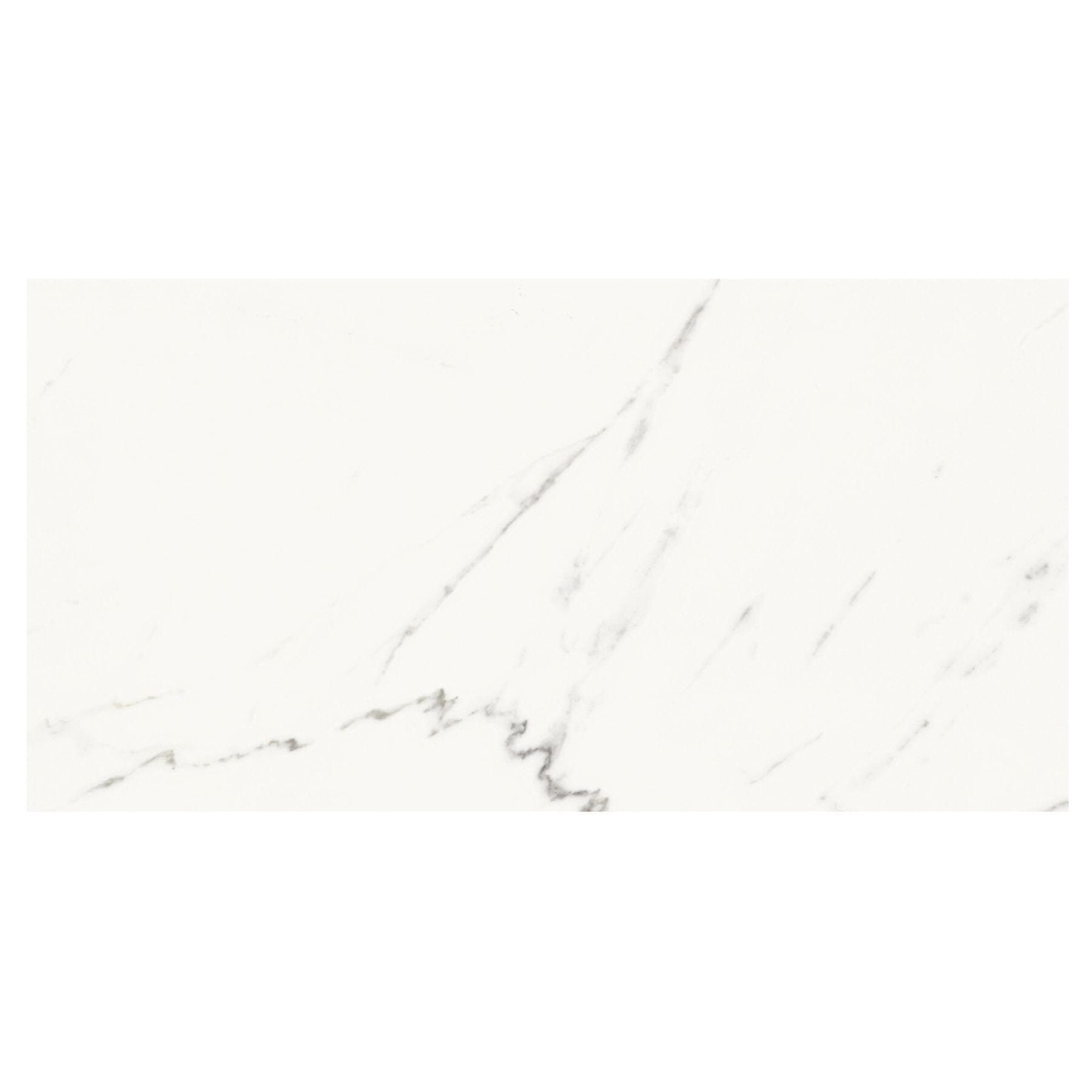 Buy 66.5cm x 34cm Absolute White 34x66.5 Tile Online Today