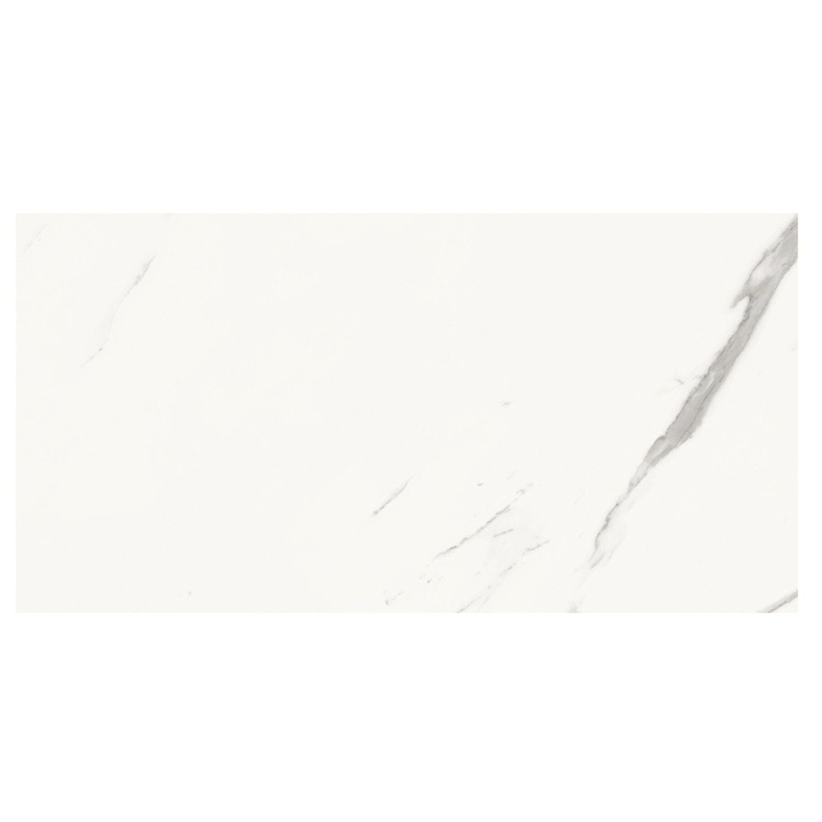 Buy 66.5cm x 34cm Absolute White 34x66.5 Tile Online Today