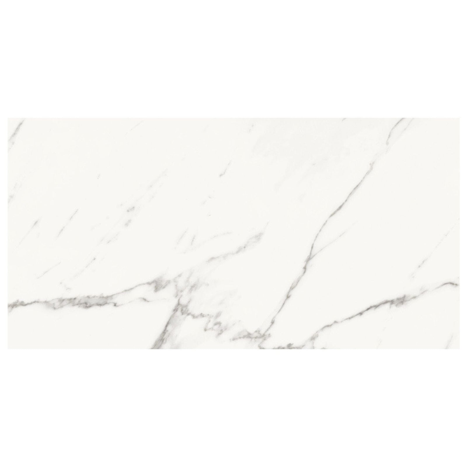 Buy 66.5cm x 34cm Absolute White 34x66.5 Tile Online Today