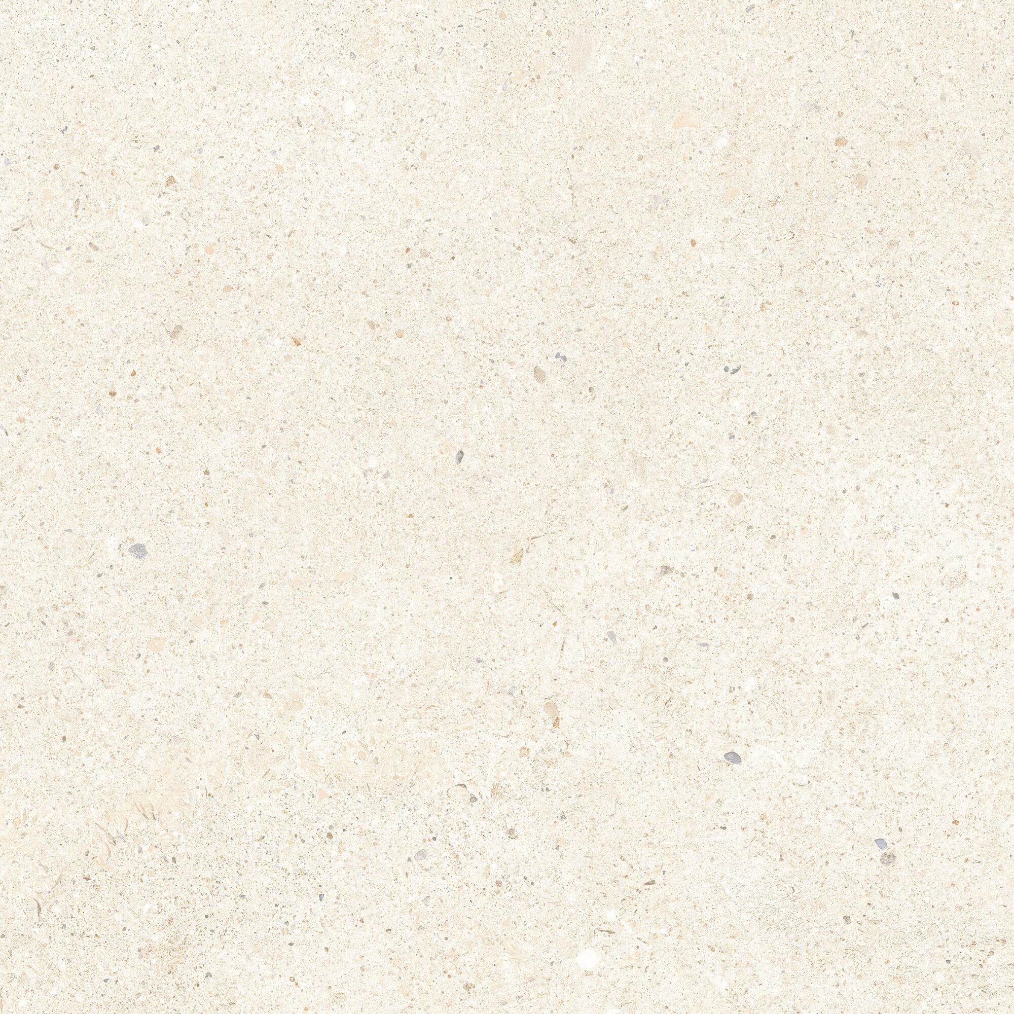 Buy 59.6cm x 59.6cm Matika Bone R10 59.6x59.6 Box Online Today