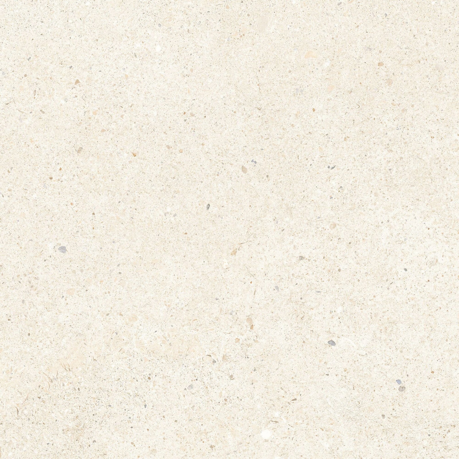 Buy 59.6cm x 59.6cm Matika Bone R10 59.6x59.6 Box Online Today