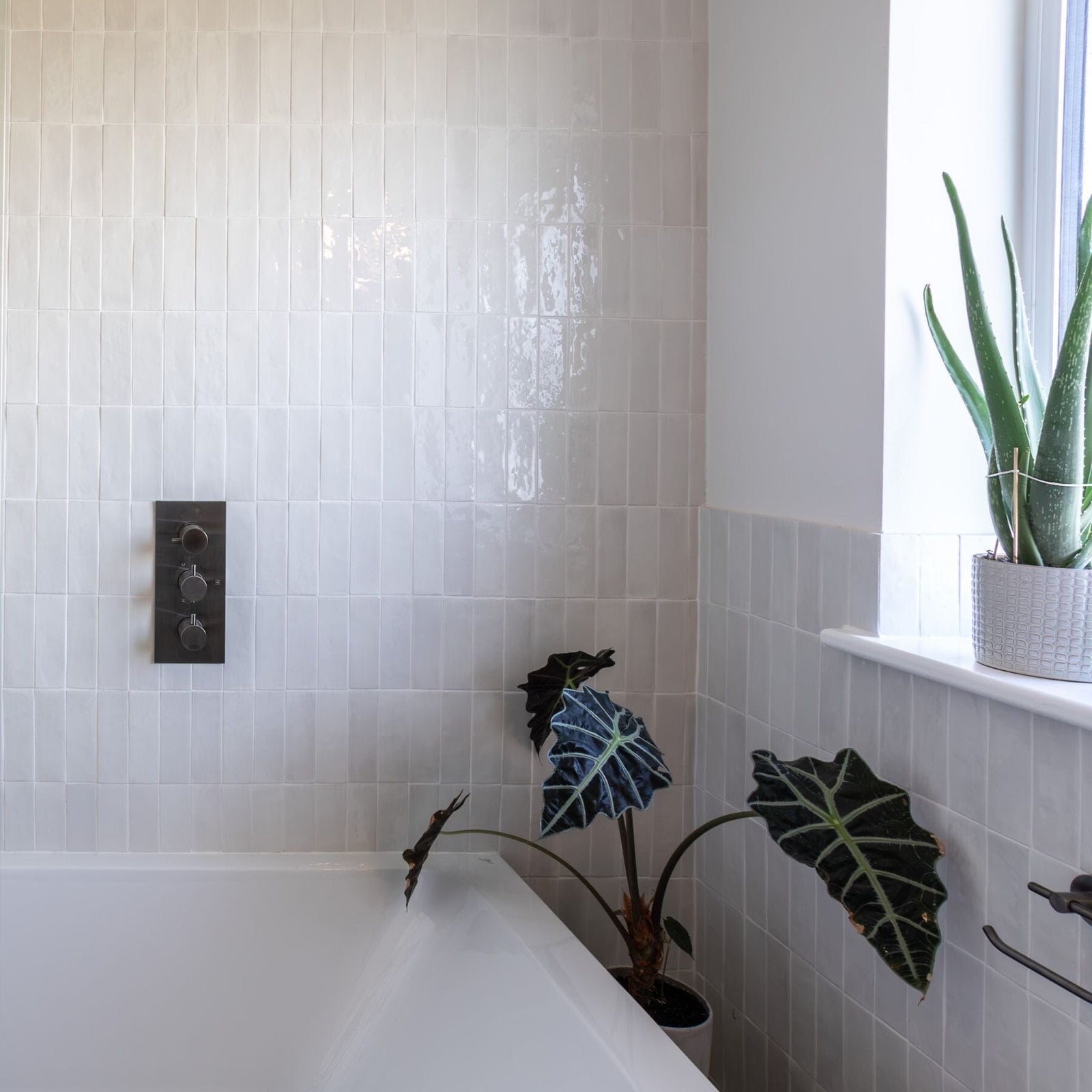 Buy 16cm x 5.2cm Tbrick Coconut Glossy 5.2x16 Tile Online Today
