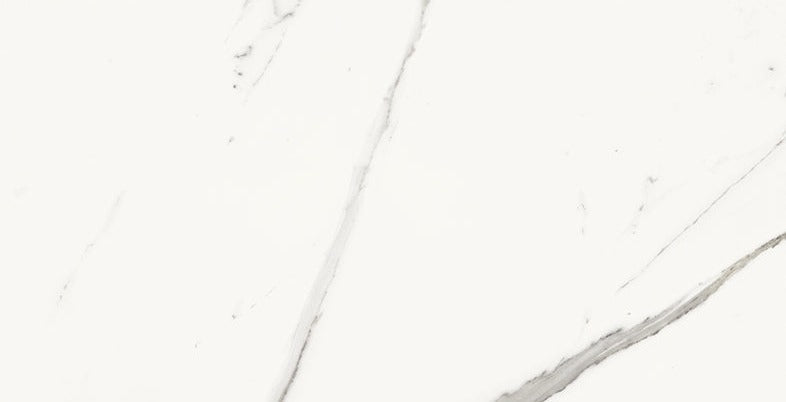 Buy 66.5cm x 34cm Absolute White 34x66.5 Tile Online Today
