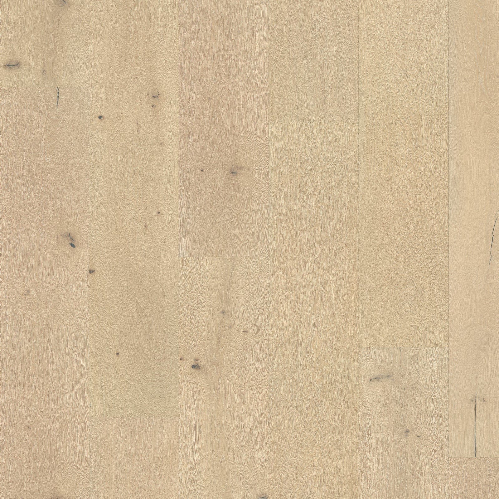 Buy Royal Oak Buckingham Wood Flooring Online Today